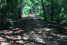 How to Visit Thailand's Hellfire Pass and the Death Railway - ASocialNomad