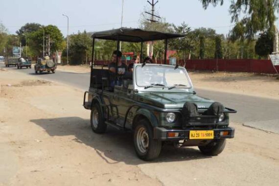 How to Go on a Tiger Safari in Ranthambore India